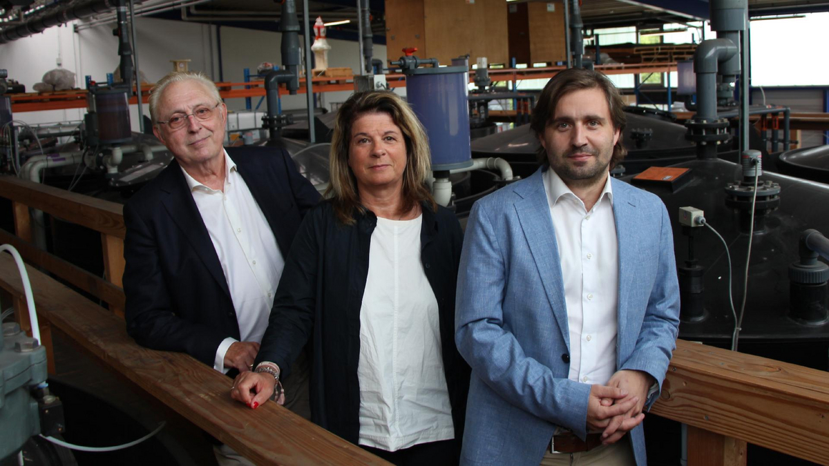 Sauber, keimfrei und alles läuft wie geschmiert | Verlag W. Sachon